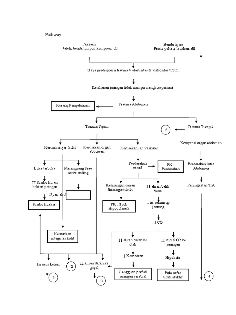 Pathway Trauma Abdomen 1 | PDF