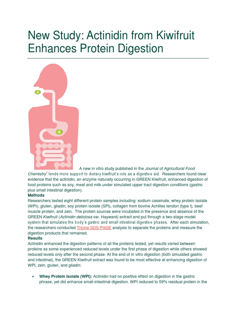 Kiwifruit Enzyme Actinidin Boosts Protein Digestion | PDF | Digestion ...