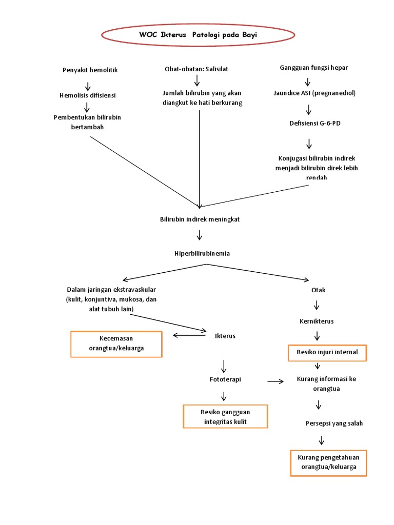 WOC Ikterus Neonatus | PDF