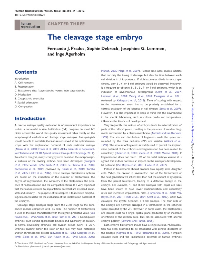The Cleavage Stage Embryo | PDF | In Vitro Fertilisation | Cell Nucleus