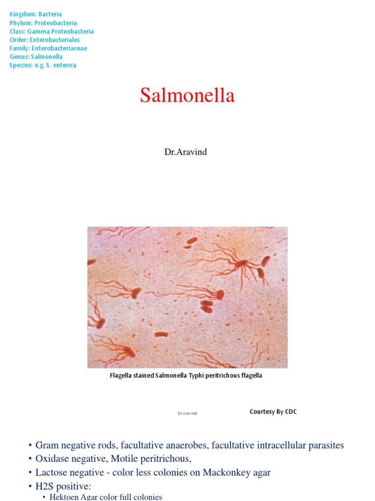 Salmonella | PDF | Salmonella | Medical Specialties