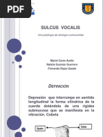 Sulcus Vocal: Tipos y Tratamientos | PDF | Vocal | Patología del habla ...