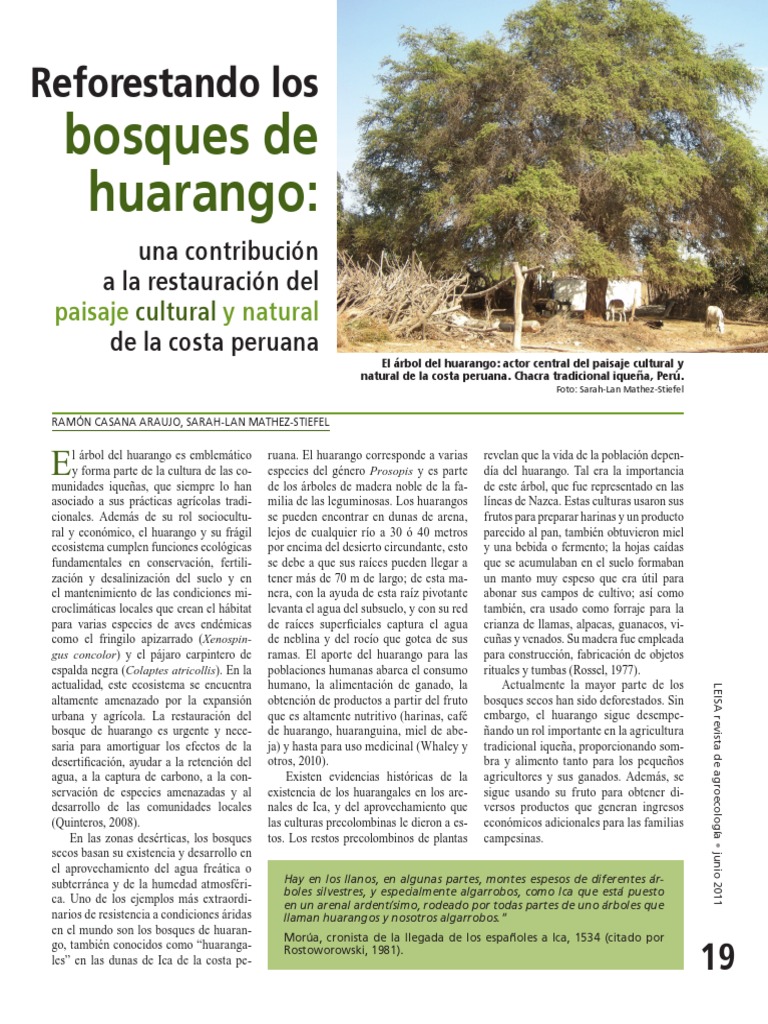 El Huarango | PDF | Los bosques | Arboles