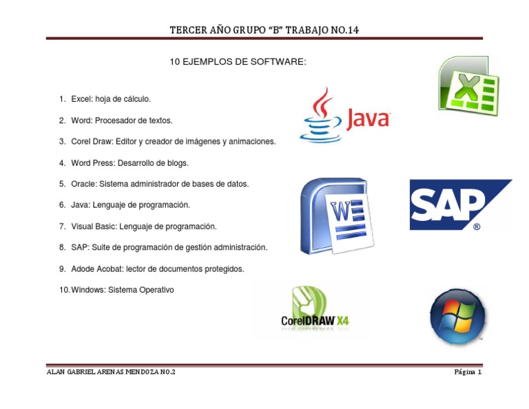 T14 10 Ejemplos de Software | PDF