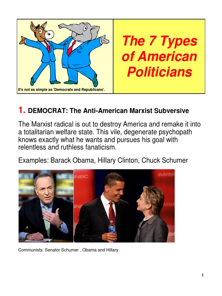 7 Types of American Politicians | PDF | Democratic Party (United States ...