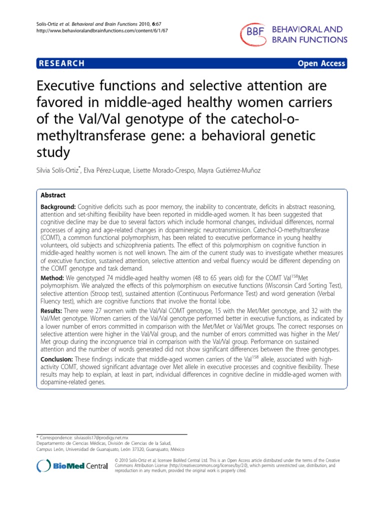 TMP CFBF | PDF | Executive Functions | Prefrontal Cortex