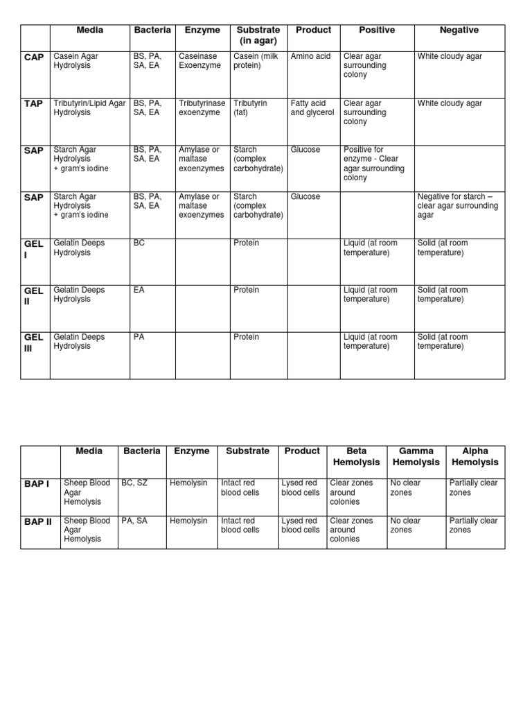 Microbiology Reference Table | PDF