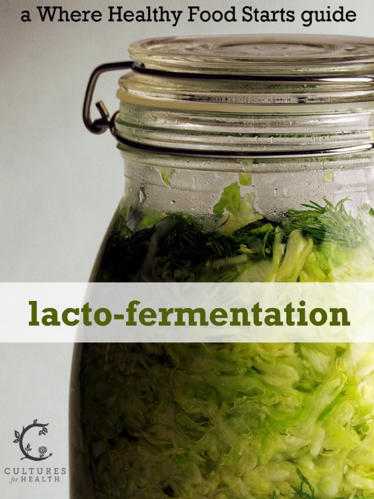 Lacto Fermentation | PDF | Pickling | Vegetables