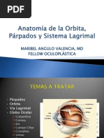 Anatomía de la Región Ciliar | PDF | Fluido cerebroespinal | Sistema ...