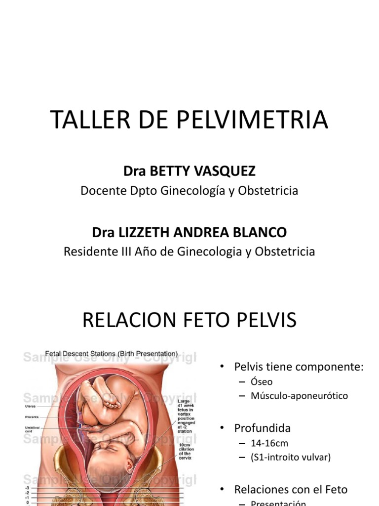 07 Taller Pelvimetria | Pelvis | Sistema esquelético