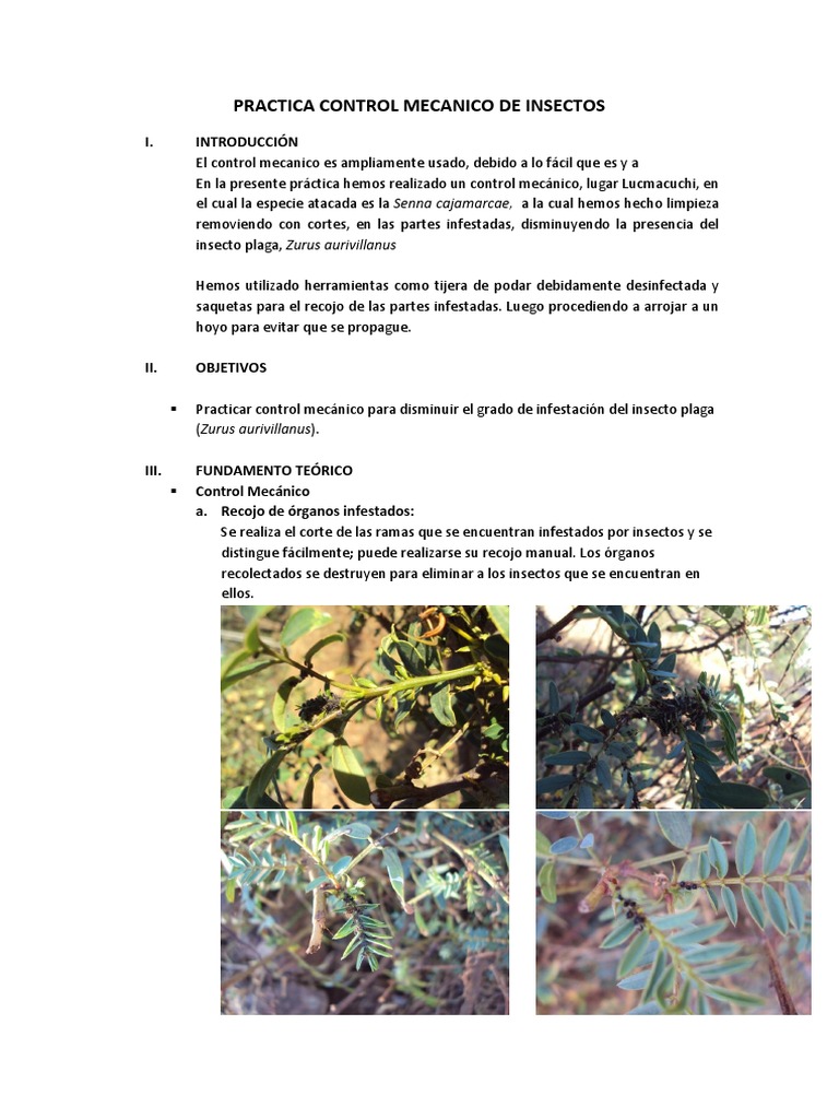 Practica Control Mecanico de Insectos .. Con Fotos | PDF | Insectos ...