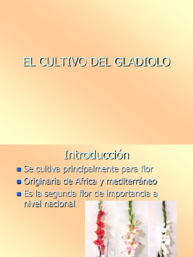GLADIOLO | PDF | Fertilizante | Botánica