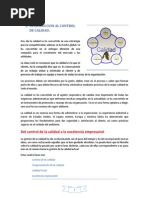 Ensayo - Control de Calidad | PDF | Calidad (comercial) | Gestión de la calidad