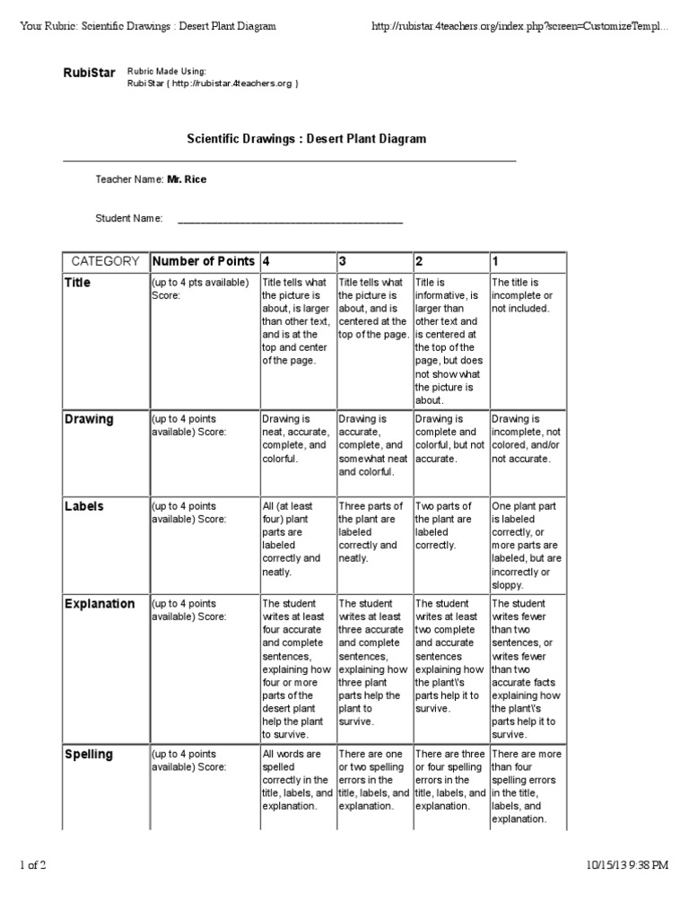 Your Rubric - Scientific Drawings - Desert Plant Diagram | PDF | Rubric ...