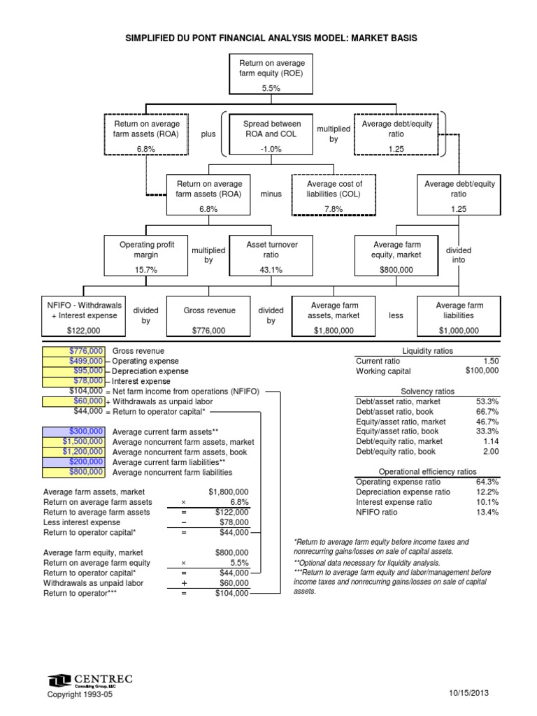 Simplified Du Pont Financial Analysis Model: Market Basis | PDF ...