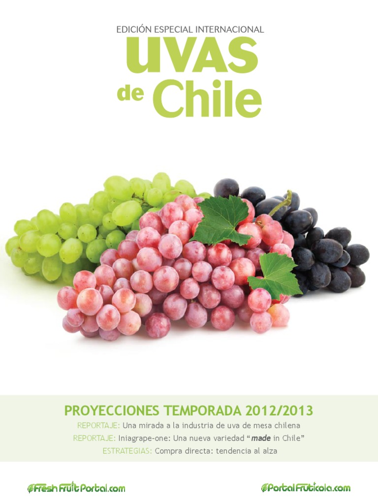 Uvas Chile e | PDF | Chile | Calidad (comercial)
