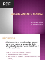 Alumbramiento Normal | PDF | Placenta | Parto