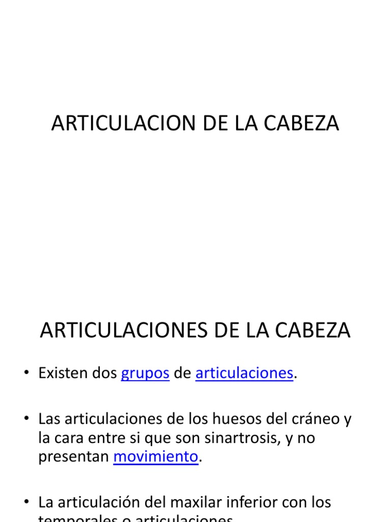 Articulaciones de La Cabeza y Cuello | PDF | Cráneo | Cuerpo humano
