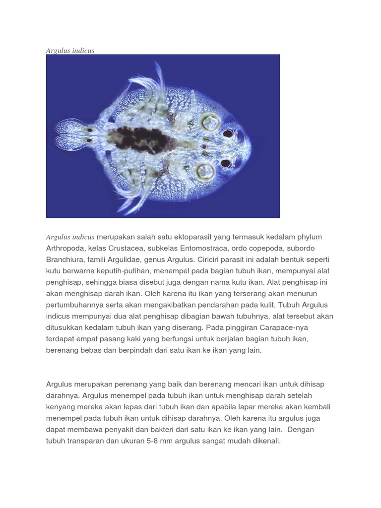 Argulus Indicus | PDF | Sains & Matematika