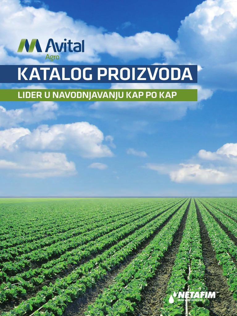 Avital Katalog | PDF