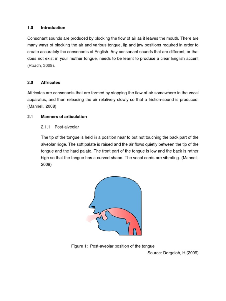 Phonetics Assignment | PDF | Human Communication | Human Voice
