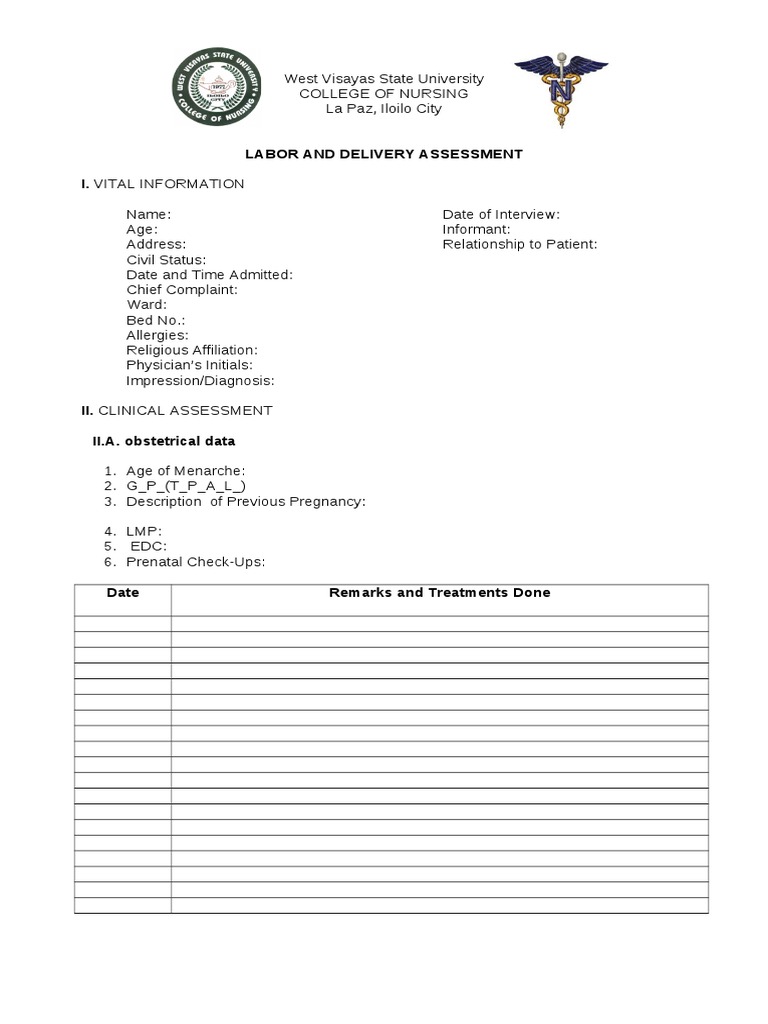 Labor and Delivery Nursing Assessment | PDF | Pregnancy | Childbirth