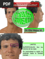 Region Superciliar ANATOMIA 2 FOLP | PDF | Anatomía humana | Cabeza y ...