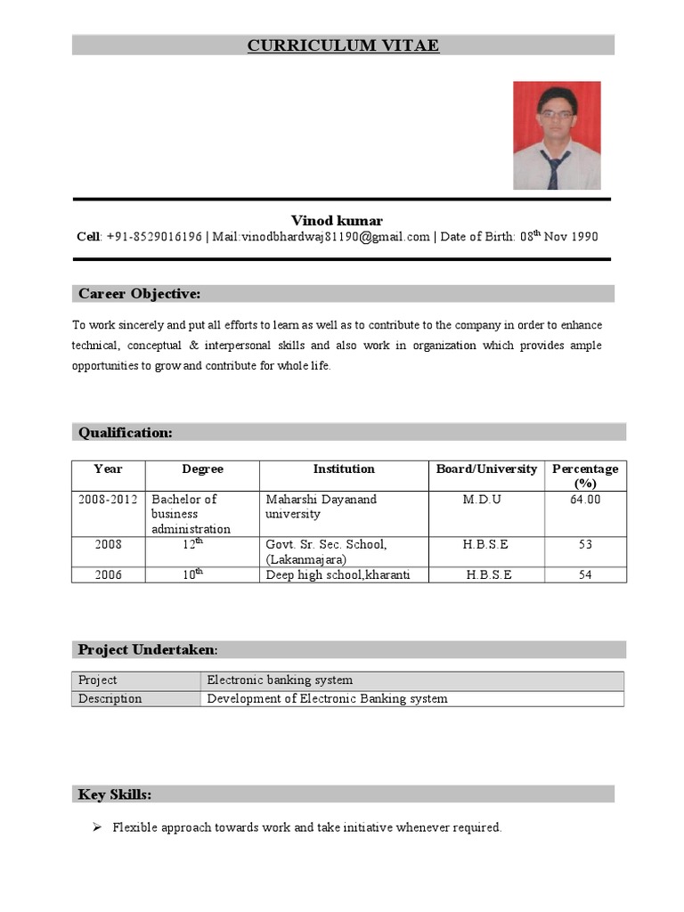 Curriculum Vitae: Vinod Kumar | PDF
