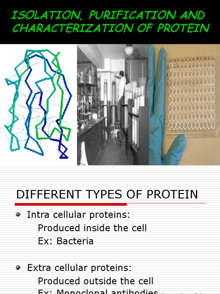 Isolation, Purification and Characterization of Proteins | PDF ...