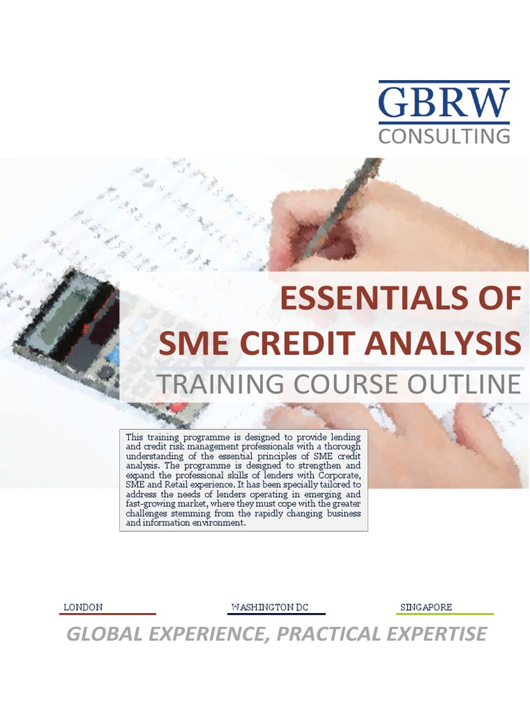 SME Credit Analysis Training | PDF | Loans | Credit (Finance)