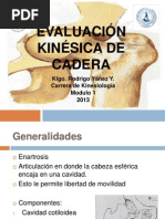 Test Adams | PDF | Escoliosis | Especialidades Medicas