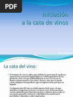 Ficha Cata de Vinos | PDF