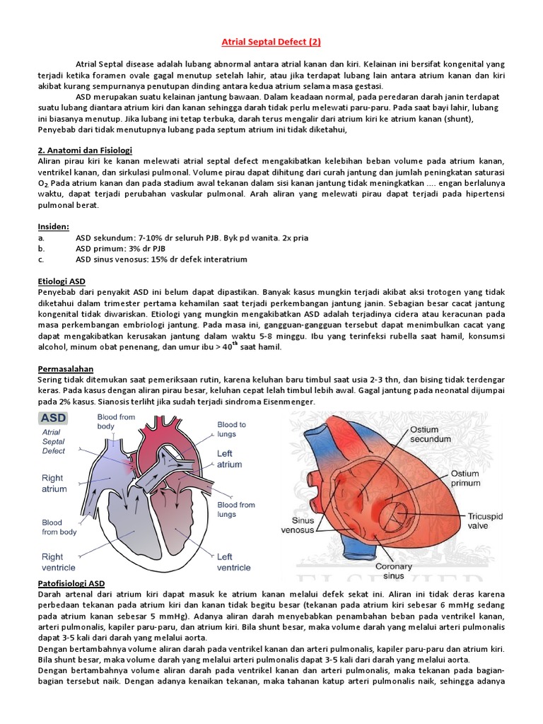 Definisi dan Penanganan ASD Jantung | PDF | Griya & Taman