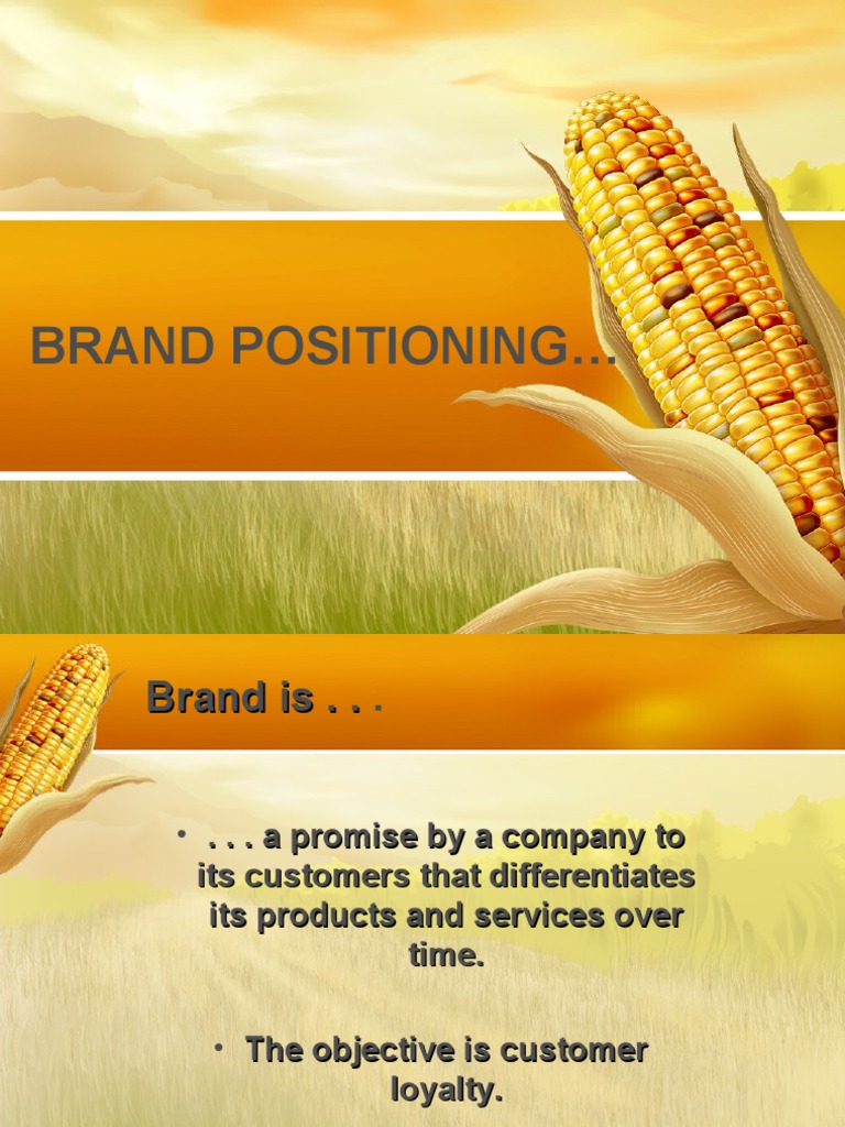 Brand Positioning | PDF | Brand | Market Segmentation