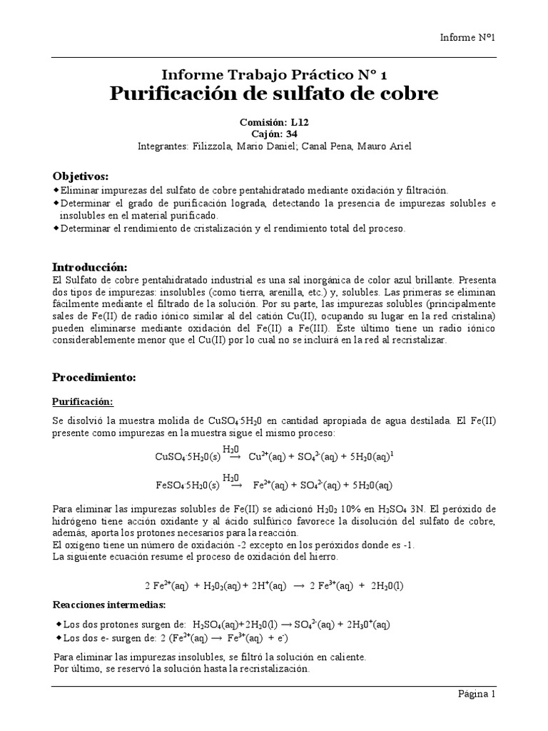 Informe 1 | PDF