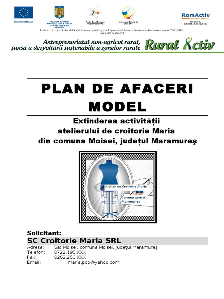 Model Plan de Afacere | PDF