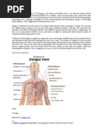 UTI Pathophysiology Explained | PDF | Urinary Tract Infection | Urinary ...