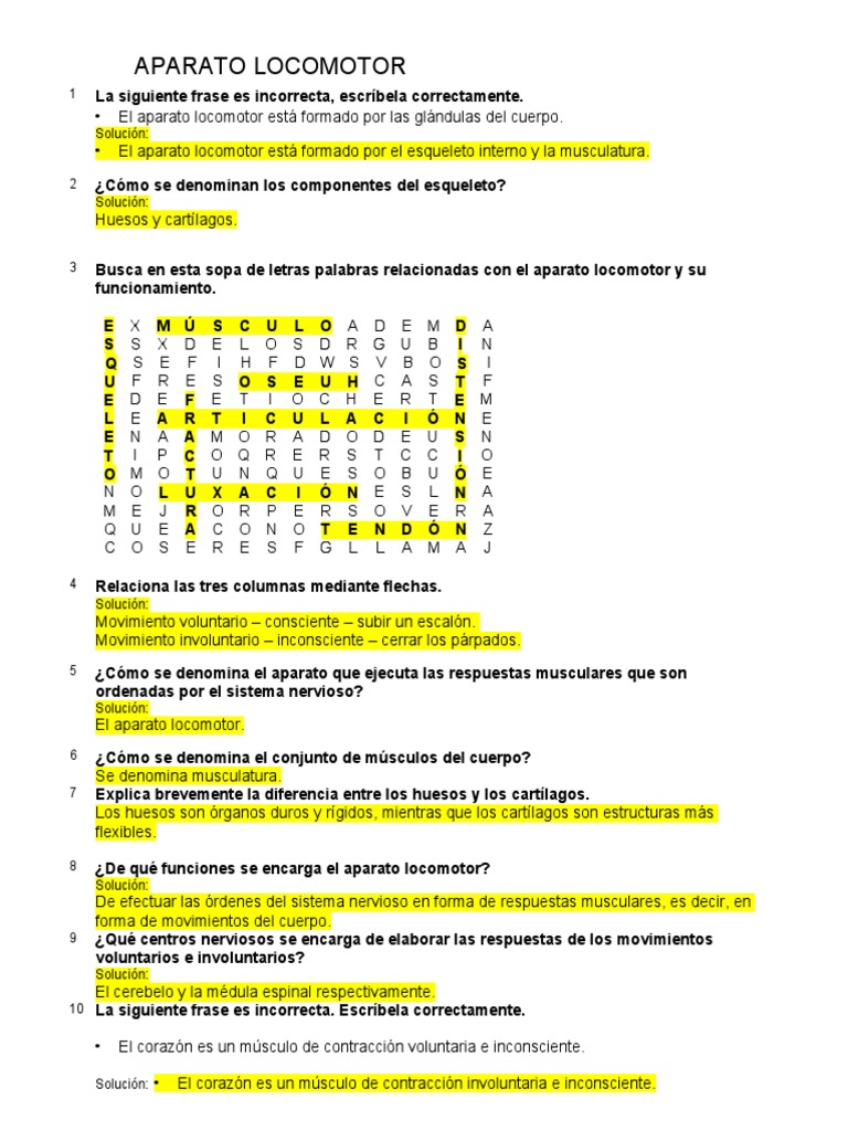 CONO TEMA 3 SOLUCIONES - PDF" Size "563761 | PDF | Articulación | Músculo