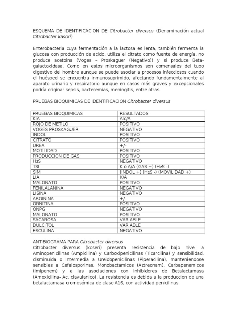 Esquema de Identificacion de Citrobacter Diversus | PDF | Beta ...