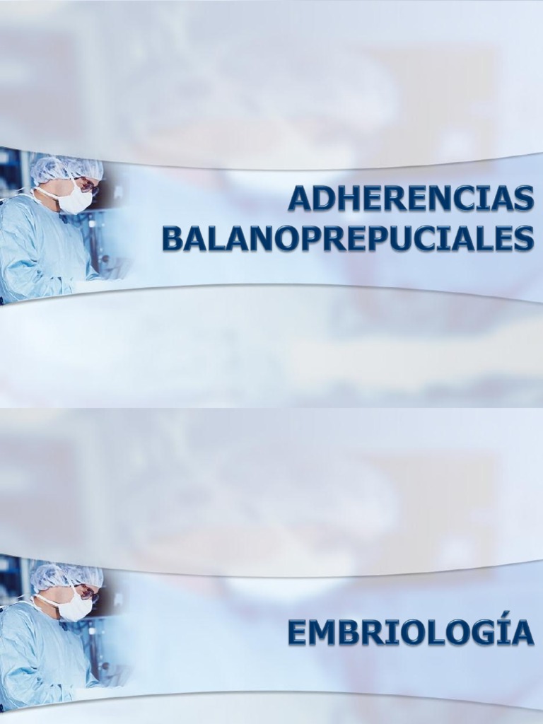 Adherencias Balanoprepuciales | PDF | Sistema genitourinario | Pene