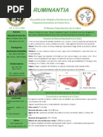 Reproducción Ovina y Caprina | PDF | Sistema reproductivo | Testículo