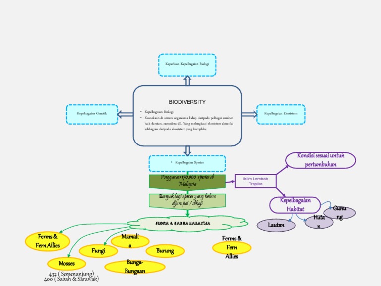 Biodiversity Mind Mapping | PDF