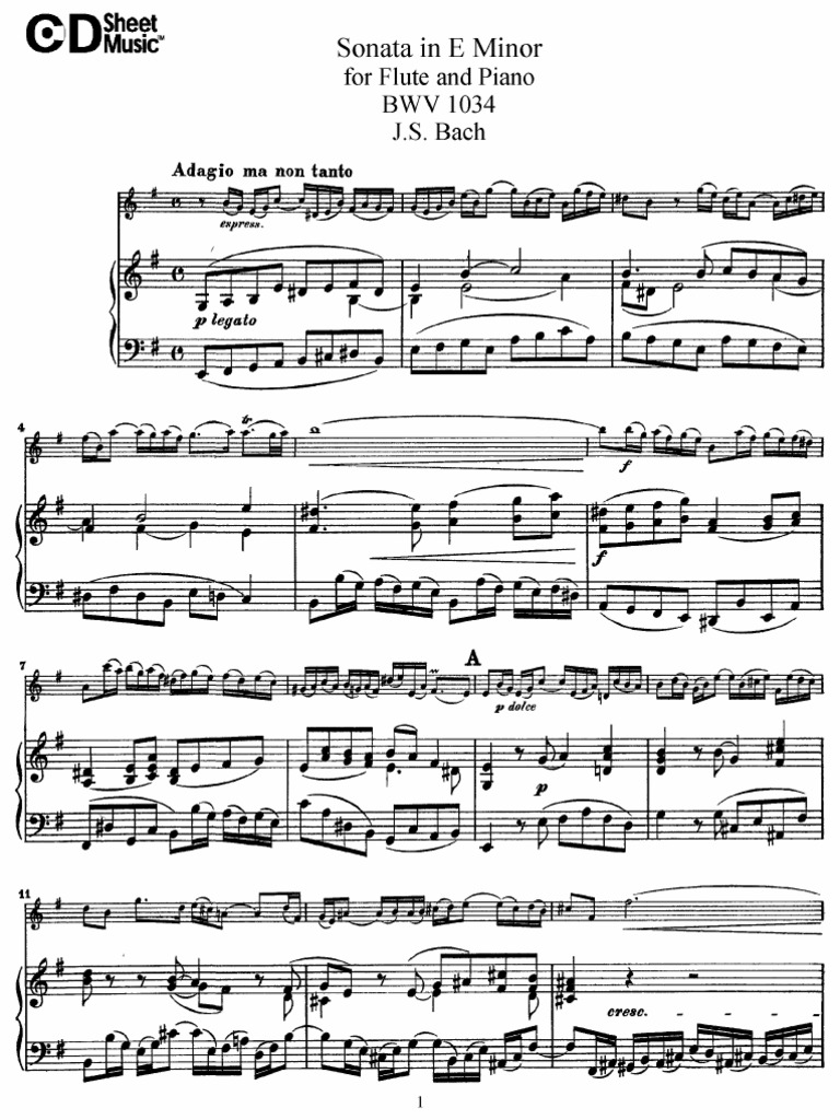 Sonata in E Minor For Flute and Piano BWV 1034 | PDF