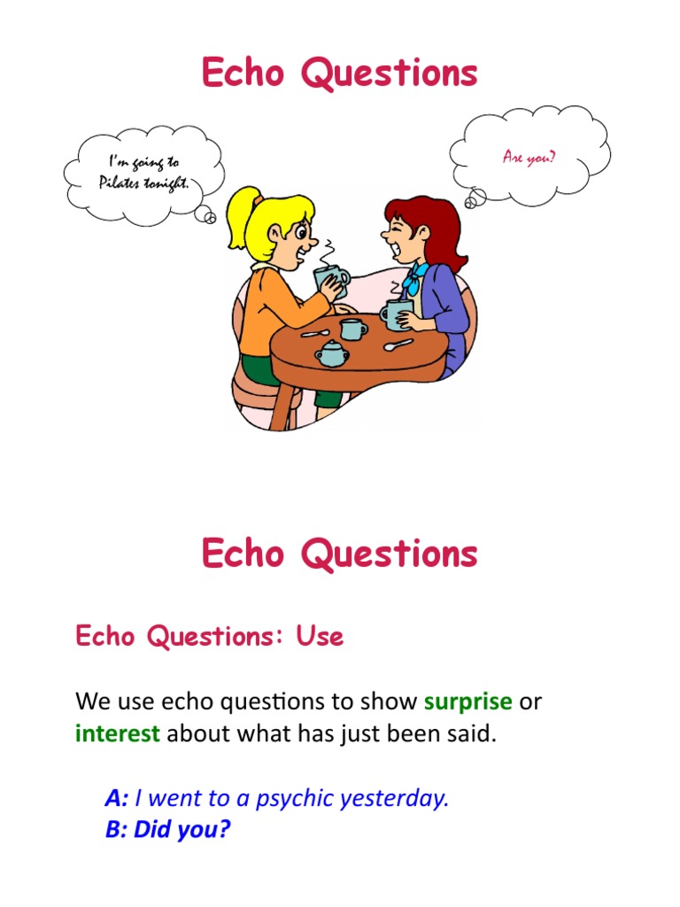Echo Questions PDF | PDF | Languages | Language Arts & Discipline
