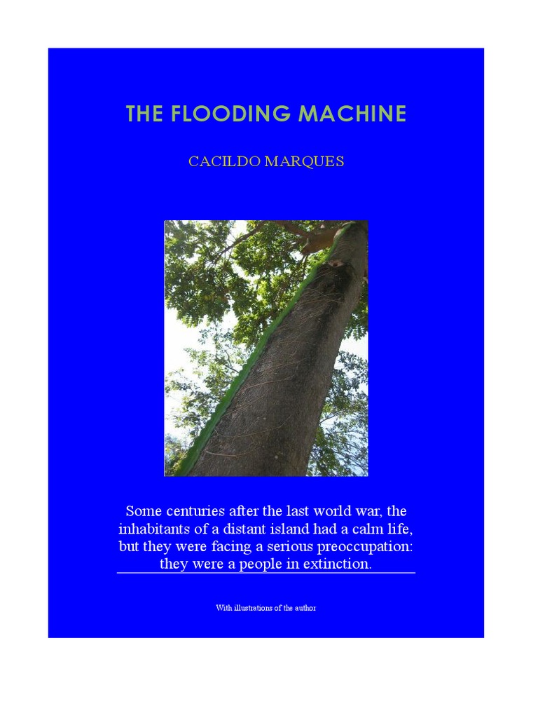 The Flooding Machine | PDF | Triangle | Teaching Mathematics