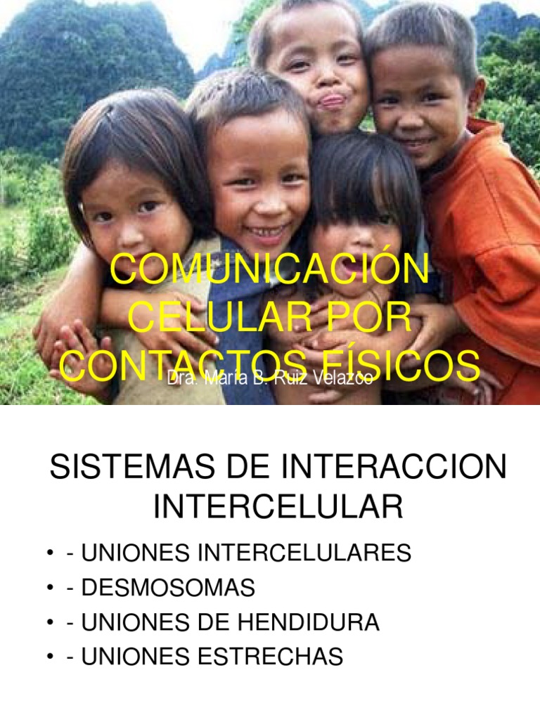 Comunicacion Celular Por Contactos Fisicos Io | PDF | Integrina ...