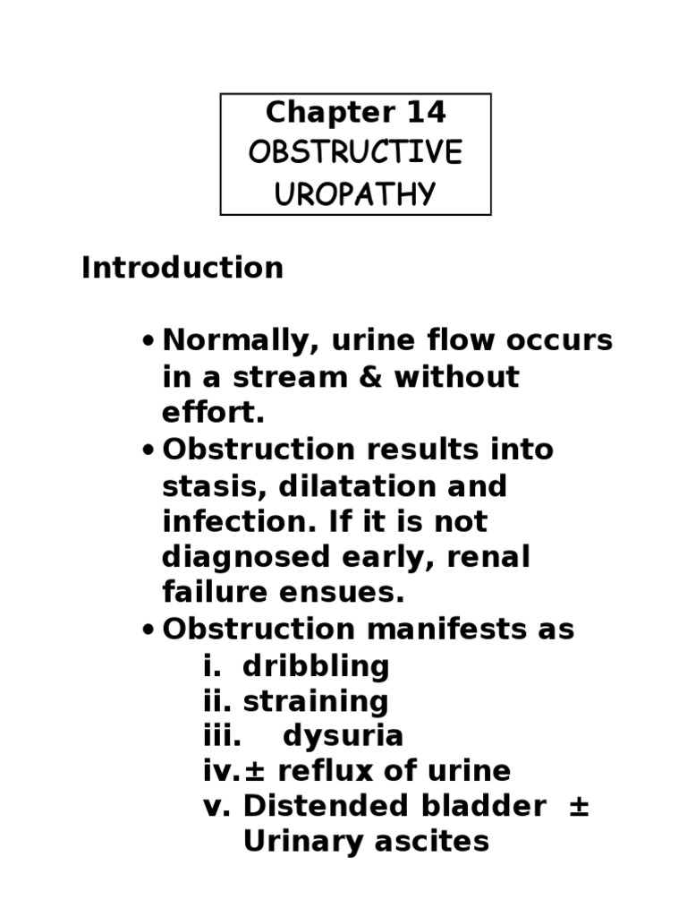 Obstructive Uropathy | PDF | Kidney | Urinary System