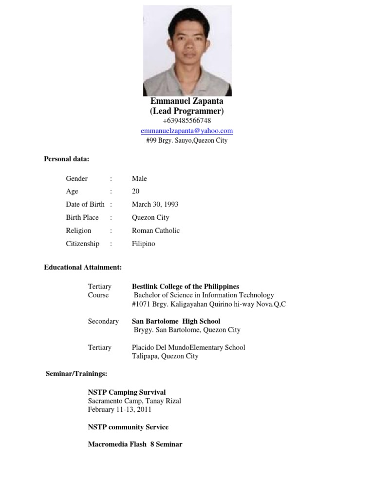 Emmanuel Zapanta: IT Programmer Profile | PDF