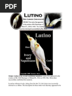 Fallow Cockatiels | PDF | Birds | Nature