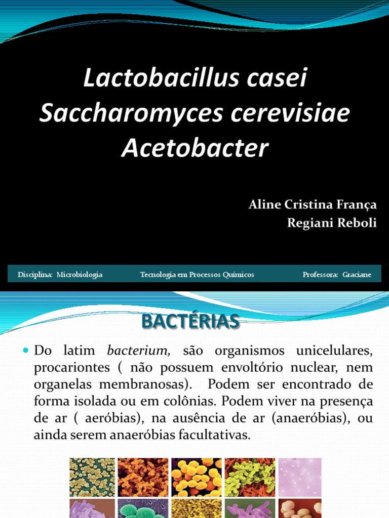 Lactobacilos, Lactobacter, Saccharomyce | PDF | Saccharomyces ...